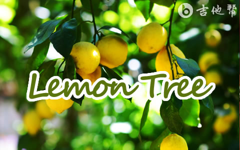 Lemon Tree吉他谱_Fool's Garden_级数和弦谱_吉他帮